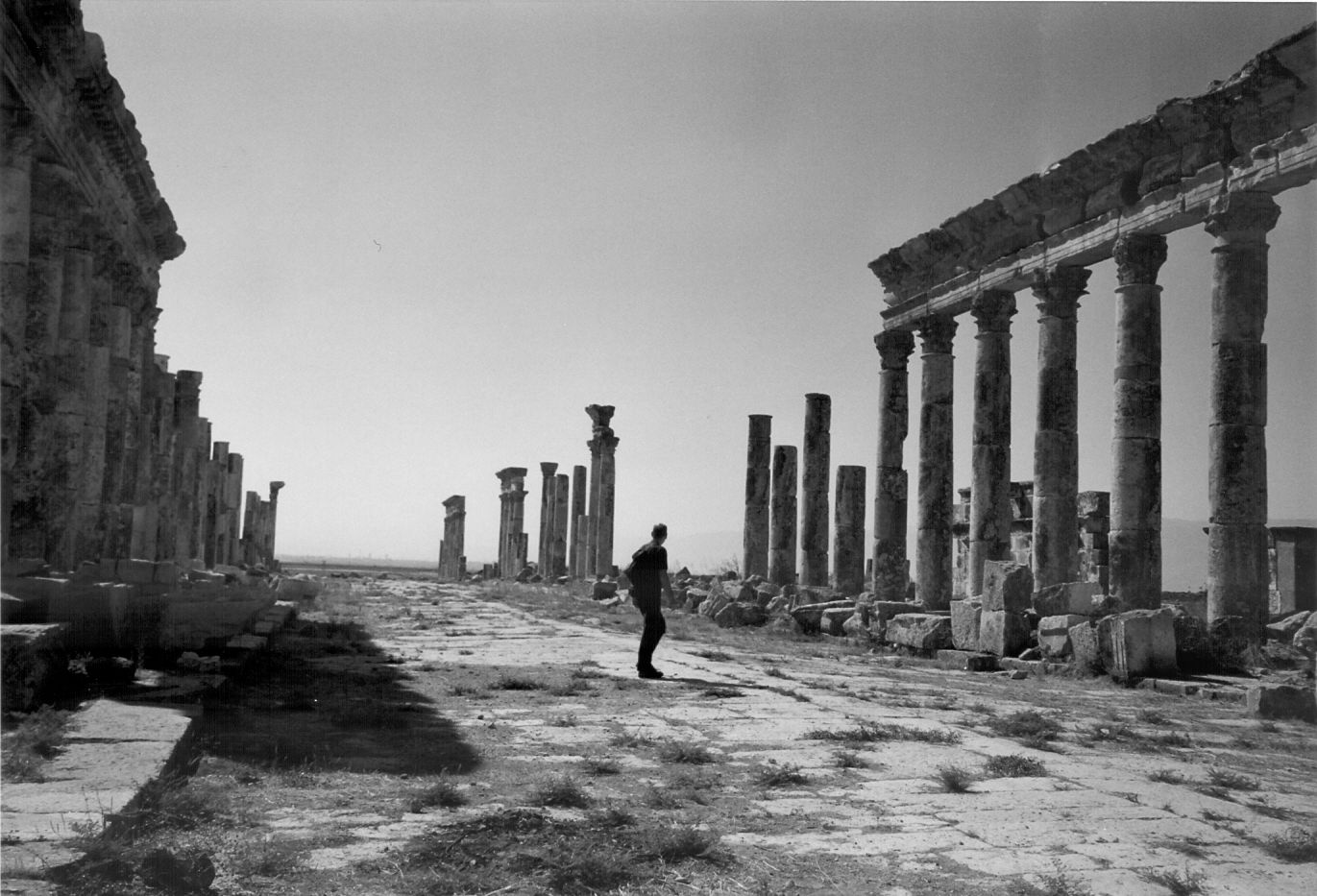 Itinerari e culture: Apamea