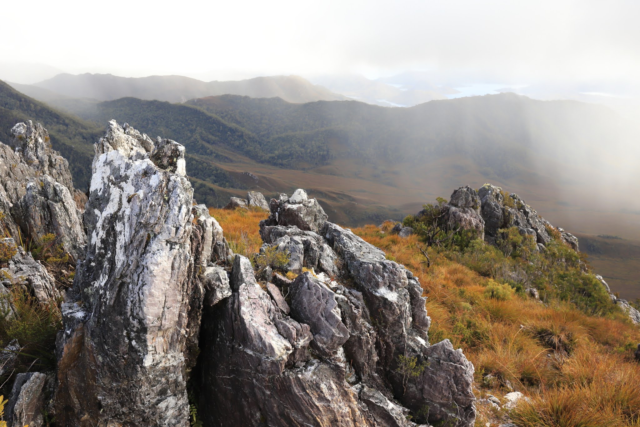 awildland: Standing Guard - The Sentinel Range, Tasmania