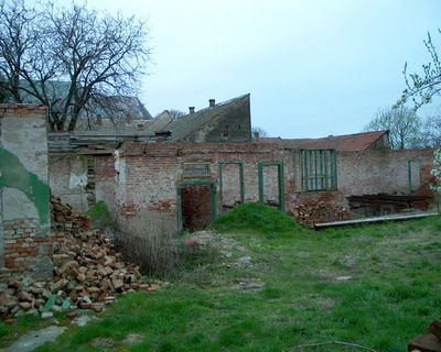 Ploaia de cuvinte: Gustul inconfundabil al ciocolatei Vinga