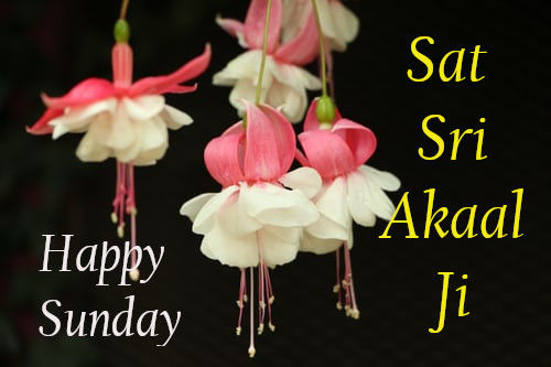 top 10 Sat Sri Akal Ji Images, Greetings, Pictures, Photos WhatsApp ...
