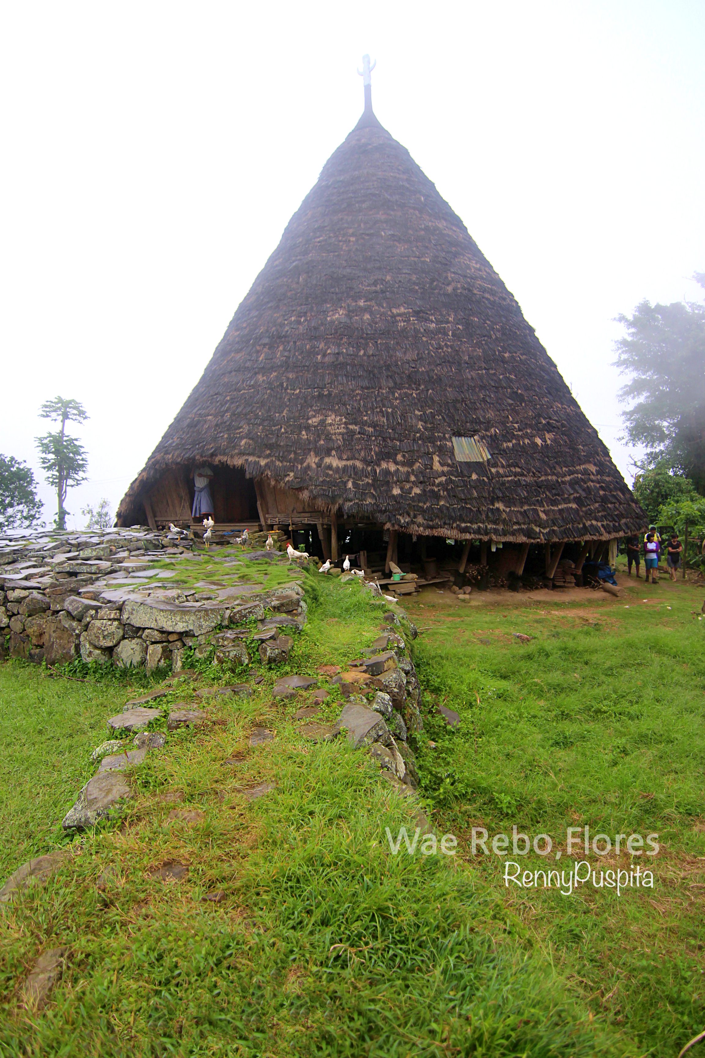 Live Is An Adventure: Wae Rebo, desa diatas Awan dari Flores