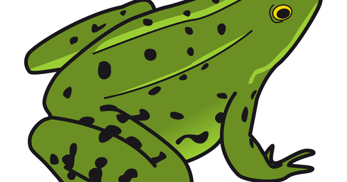 LA CLASE DE CLARA.: JUEGOS CON LA LETRA R SEGUNDA PARTE