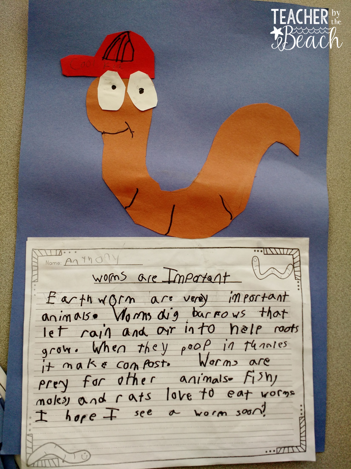 Fun with WORMS! - Teacher by the Beach