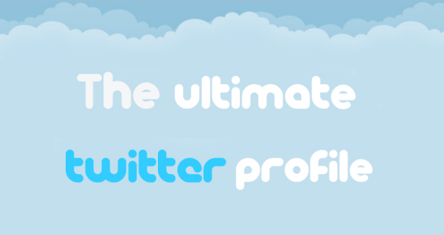 How To Make A Perfect Twitter Profile (infographic) - Visualistan