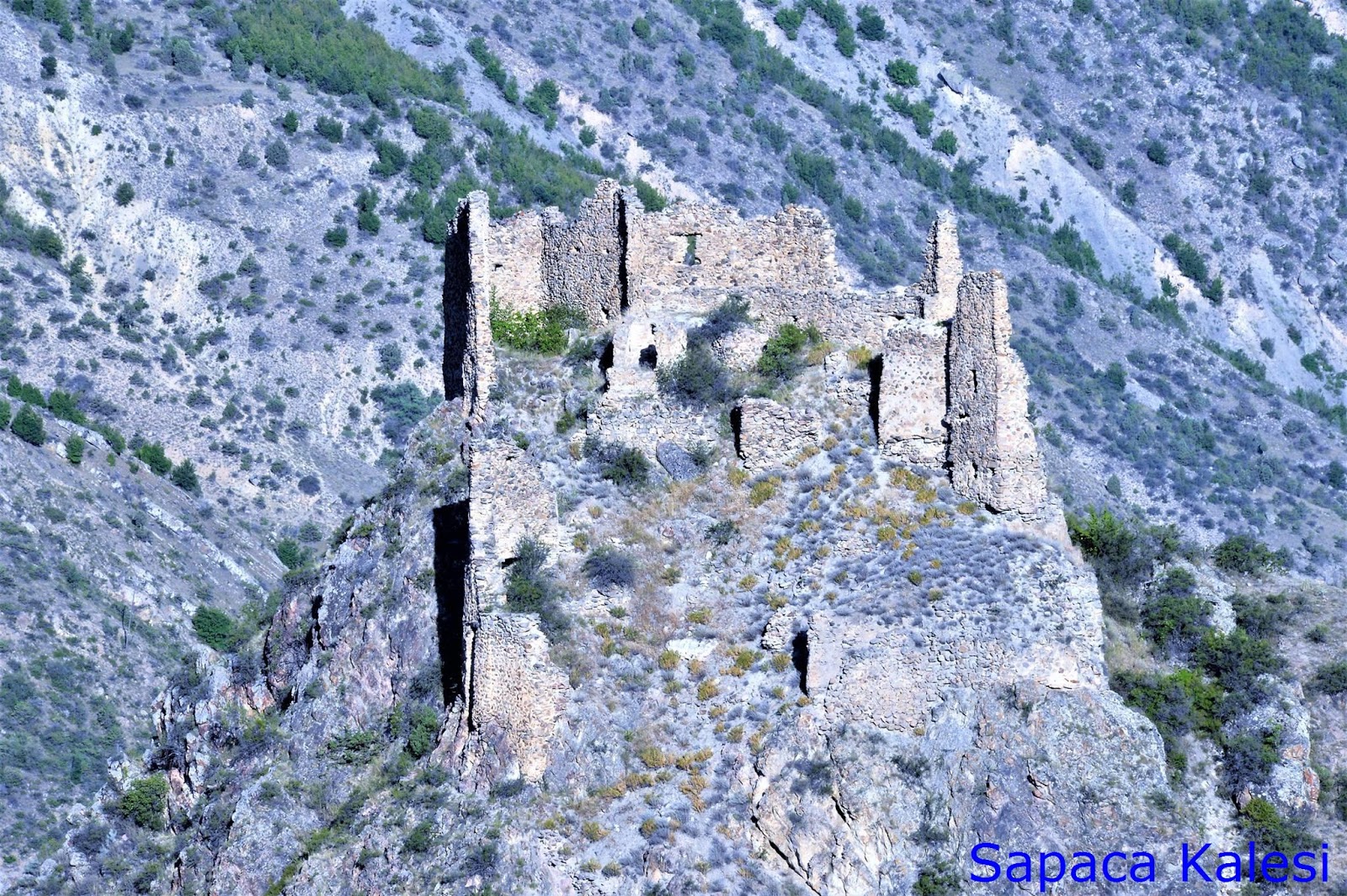 "Her Telden Erzurum ve Erzurumlu": SAPACA KÖYÜ