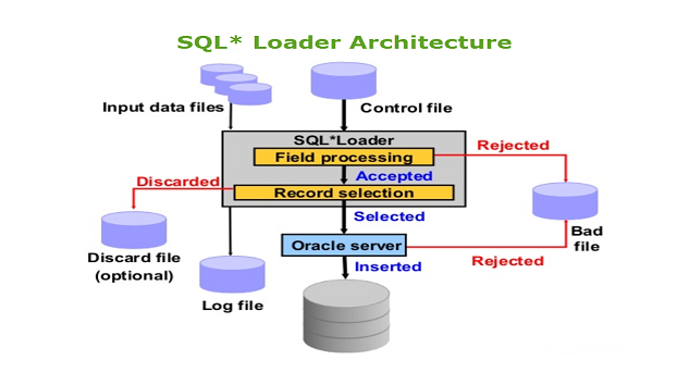 PL/SQL SQL*Loader | Asp.Net C# Examples
