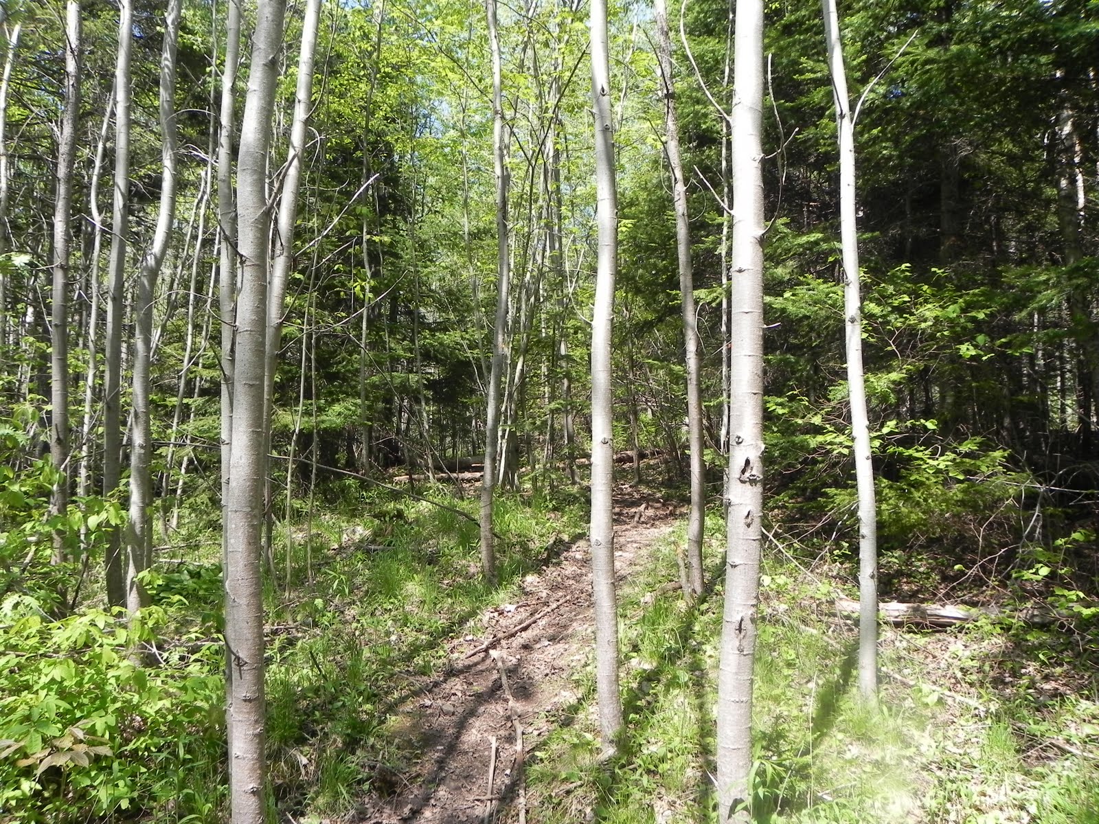 Dave and Lindsay in Canada: From Summerside, PEI to Newfoundland