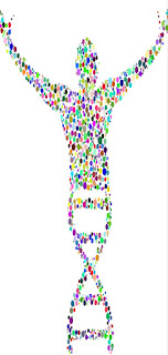 Anointedtoday.blogspot.com: DNA and Music