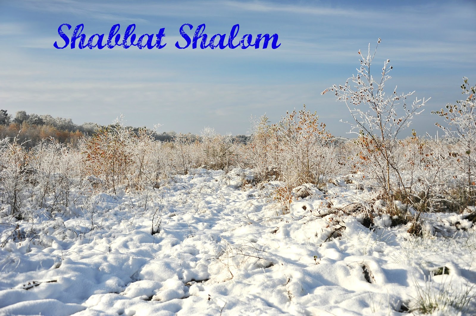 Little Homeschool on the Prairie: Shabbat Shalom