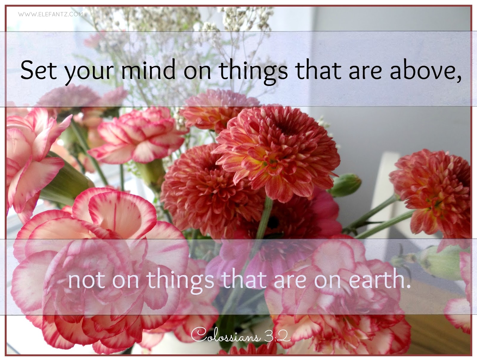 Jenny of ELEFANTZ: Things above...