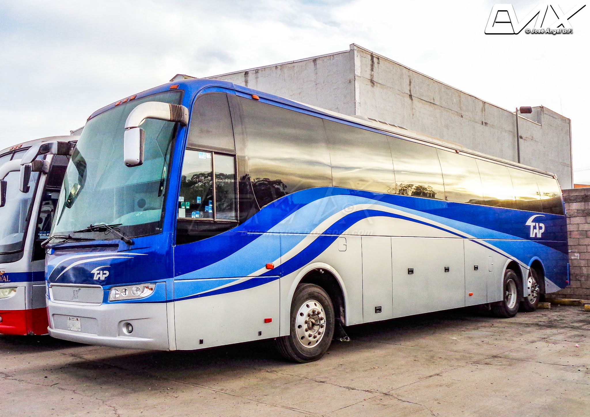 Transportes y Autobuses del Pacífico: TAP Confort - Bus-México