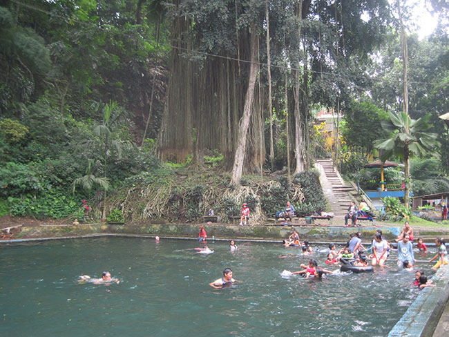 Sumber Ringin, Pemandian Alami Dari Beringin Raksasa ~ SisDanSo media