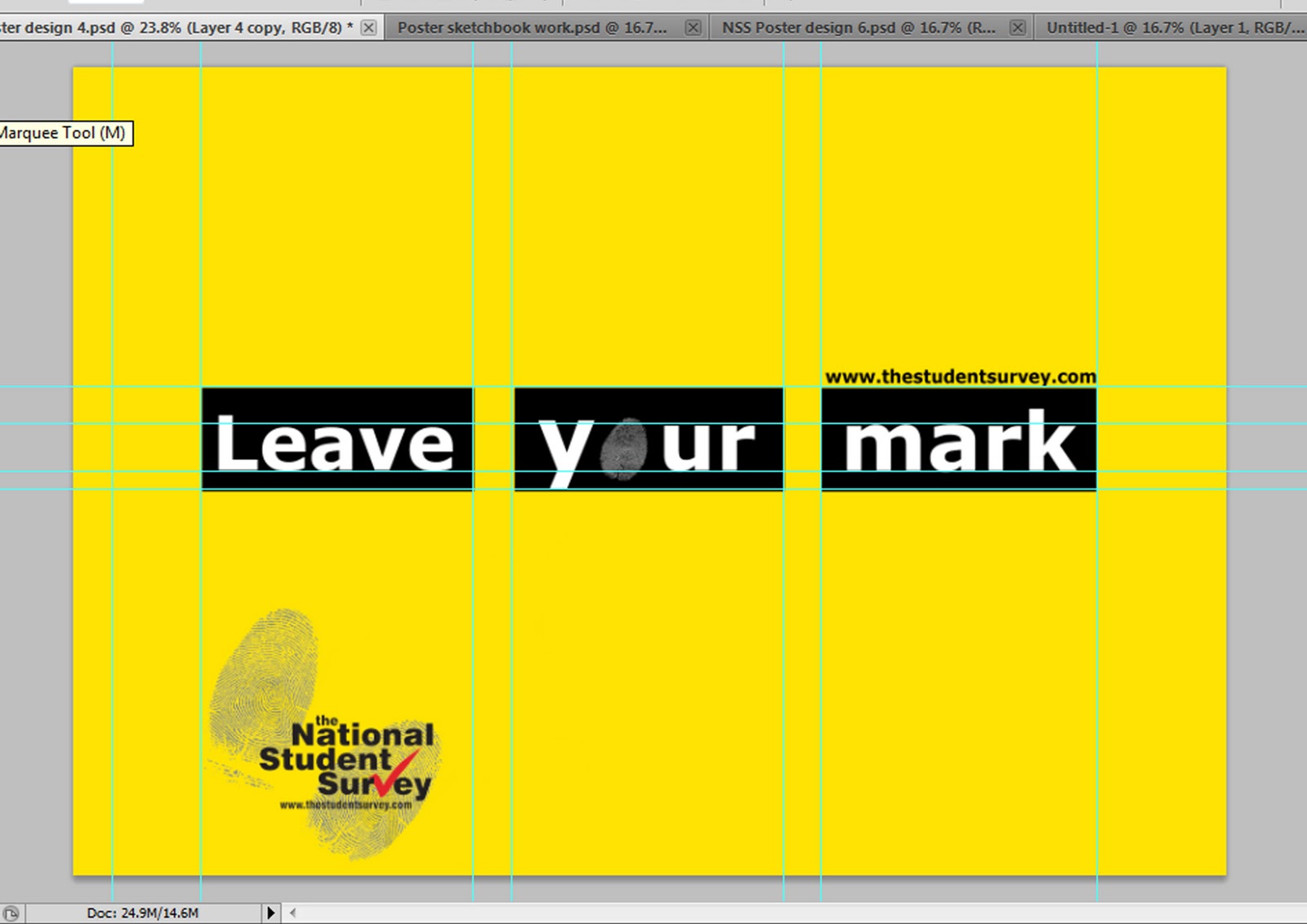 Sam Magill Graphic Design: NSS Poster design