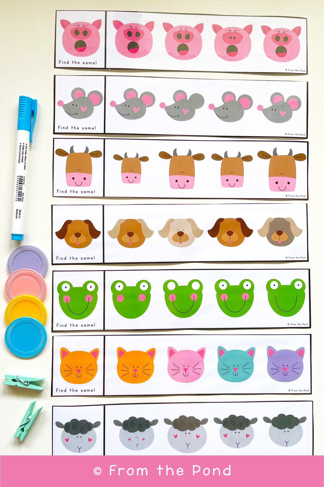 Picture Matching Cards - Farm Animals | From the Pond