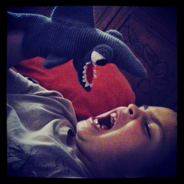 Judd Of All Trades: Tauró Tigre Titella / Tiger Shark Puppet