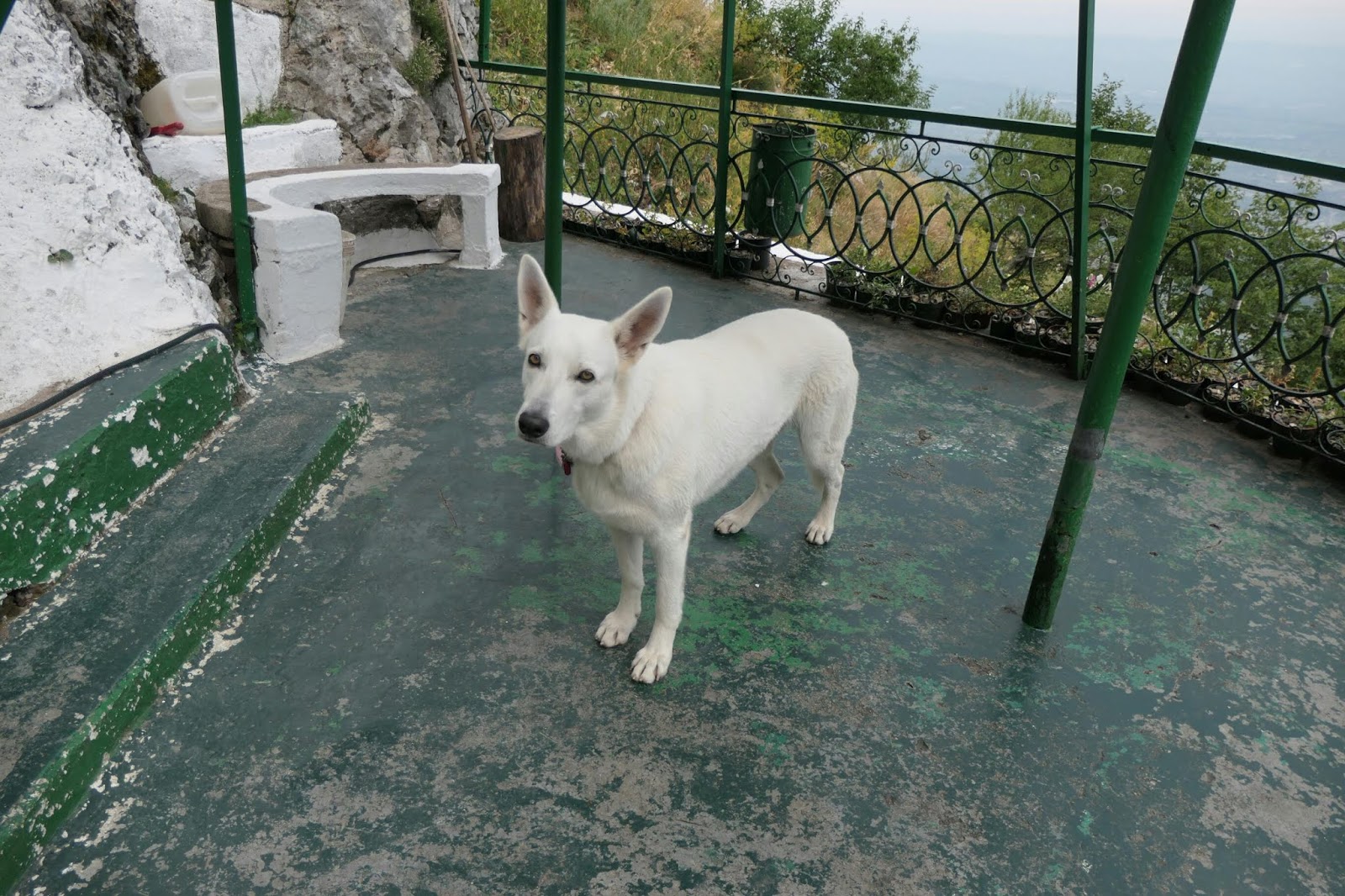 RoadTrip from Austria to Iran 2019: 1400 km: Albania, Sari Saltik