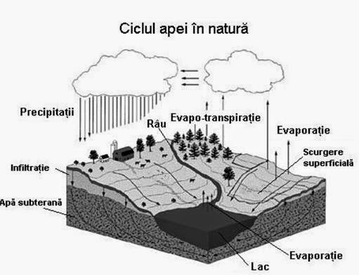 Newparts Info: Transportul poluantilor in sol