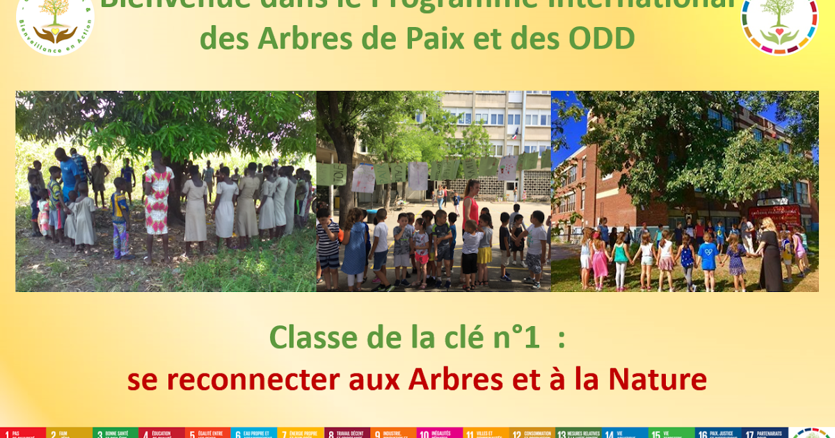 Les Arbres de Paix aux Pouvoirs Magiques: Se reconnecter aux Arbres et ... Les Arbres de Paix aux Pouvoirs Magiques: Se reconnecter aux Arbres et ...