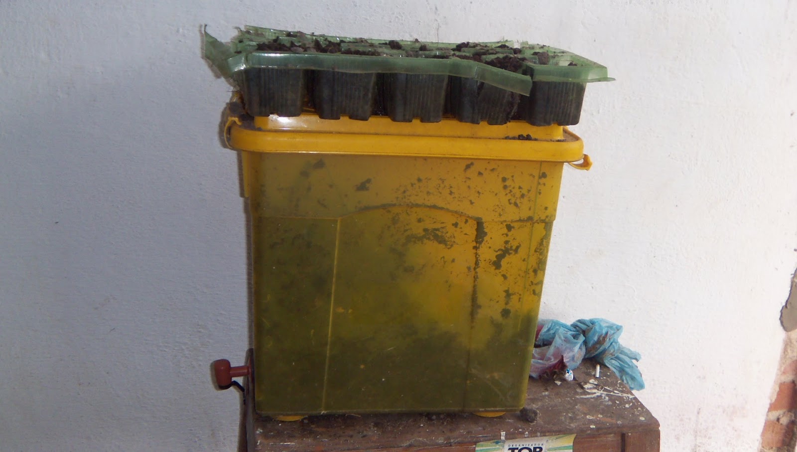 COMPOSTAGEM DOMÉSTICA