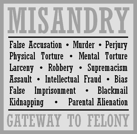 Unknown Gender History: MISANDRY: Gateway to Felony