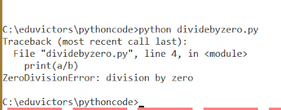 CBSE Papers, Questions, Answers, MCQ ...: CBSE Class 11 - Informatics ...