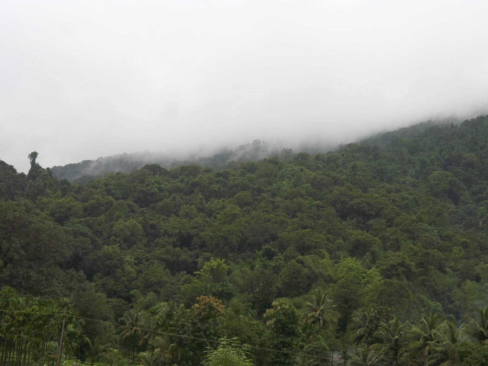 Namma Hebri: Hebri | Place where Nature Plays