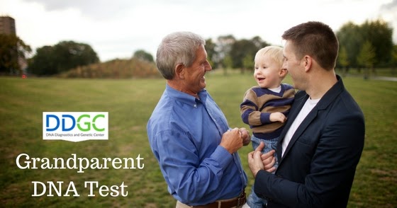 Grandparent DNA test