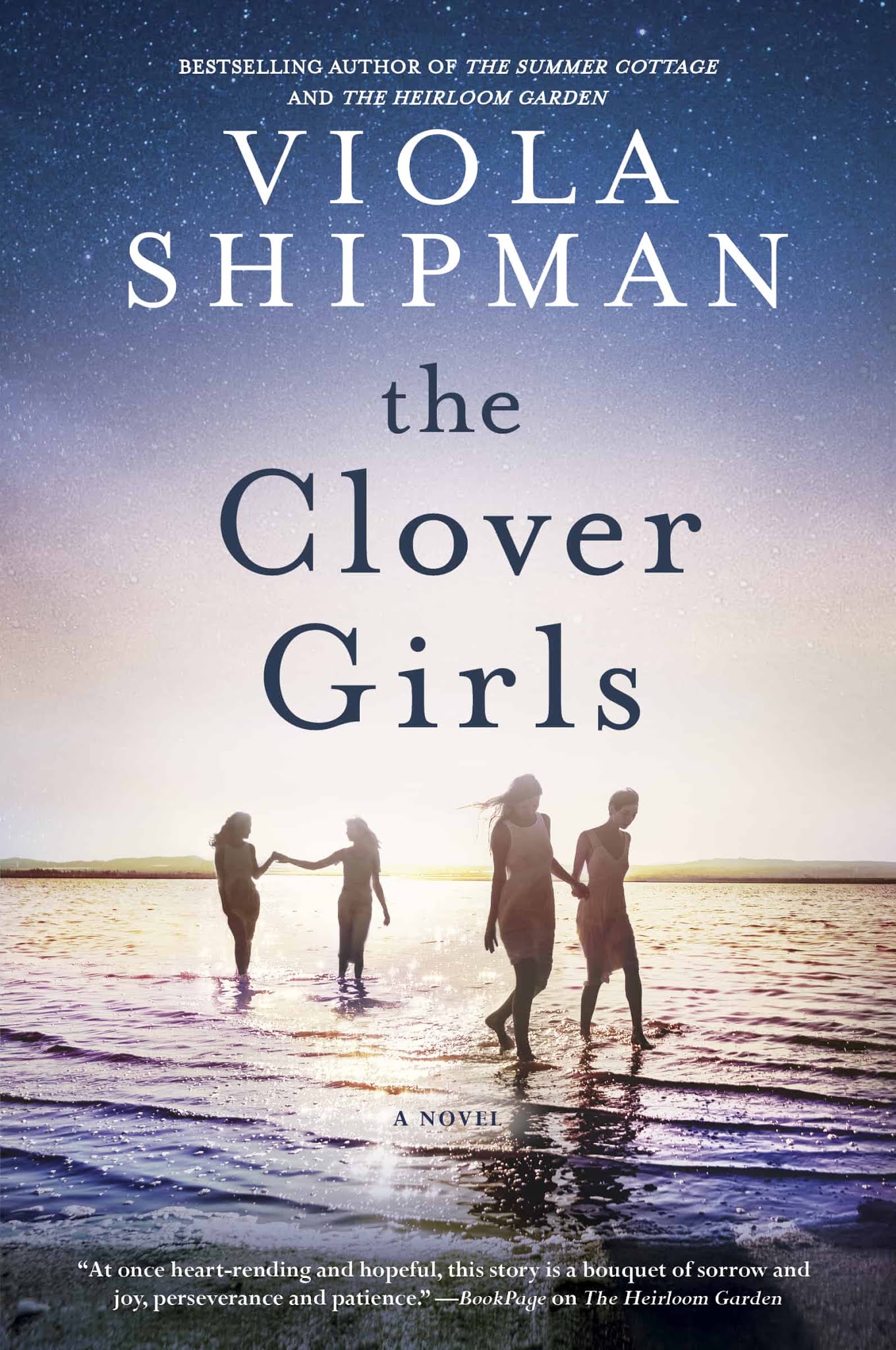 The Cyberlibrarian: Reviews and Views on Current Literature: The Clover Girls