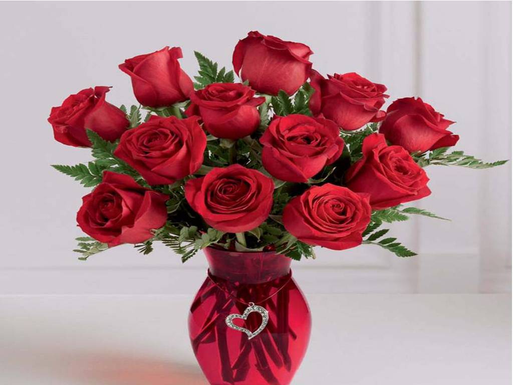 Amazing Red Roses Love Wallpapers And Backgrounds | Amazing Information
