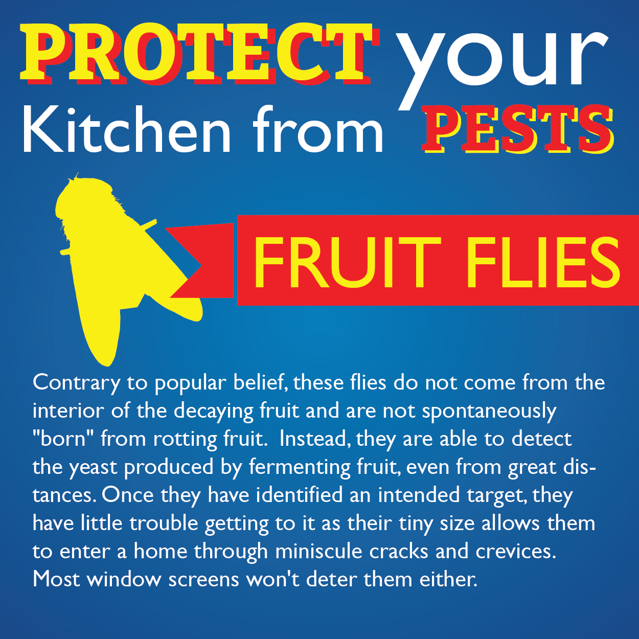 Servall Pest Control: February 2016