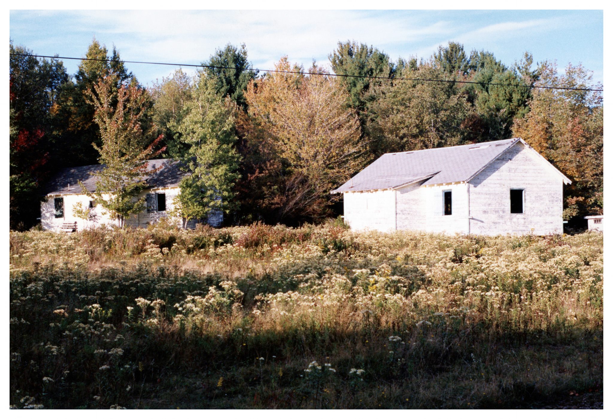 Betarim In North America