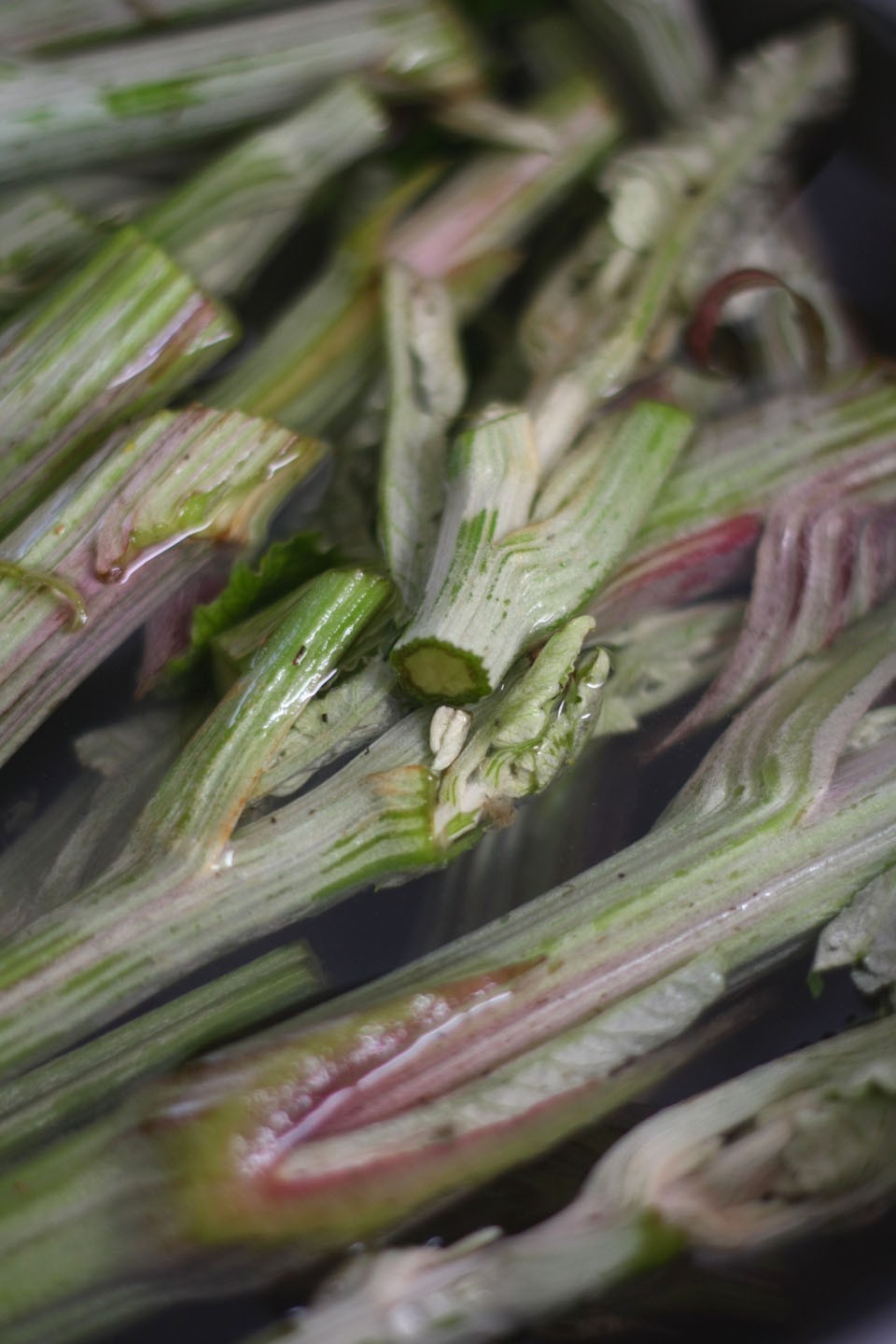 66 Square Feet (The Food): Braised burdock with aromatics