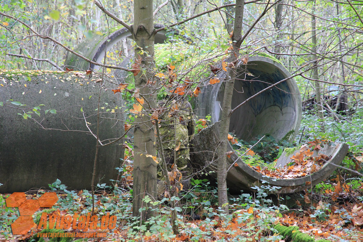 Avustaja Tactical Blog : Phantomleaf WASP II Z3a camouflage