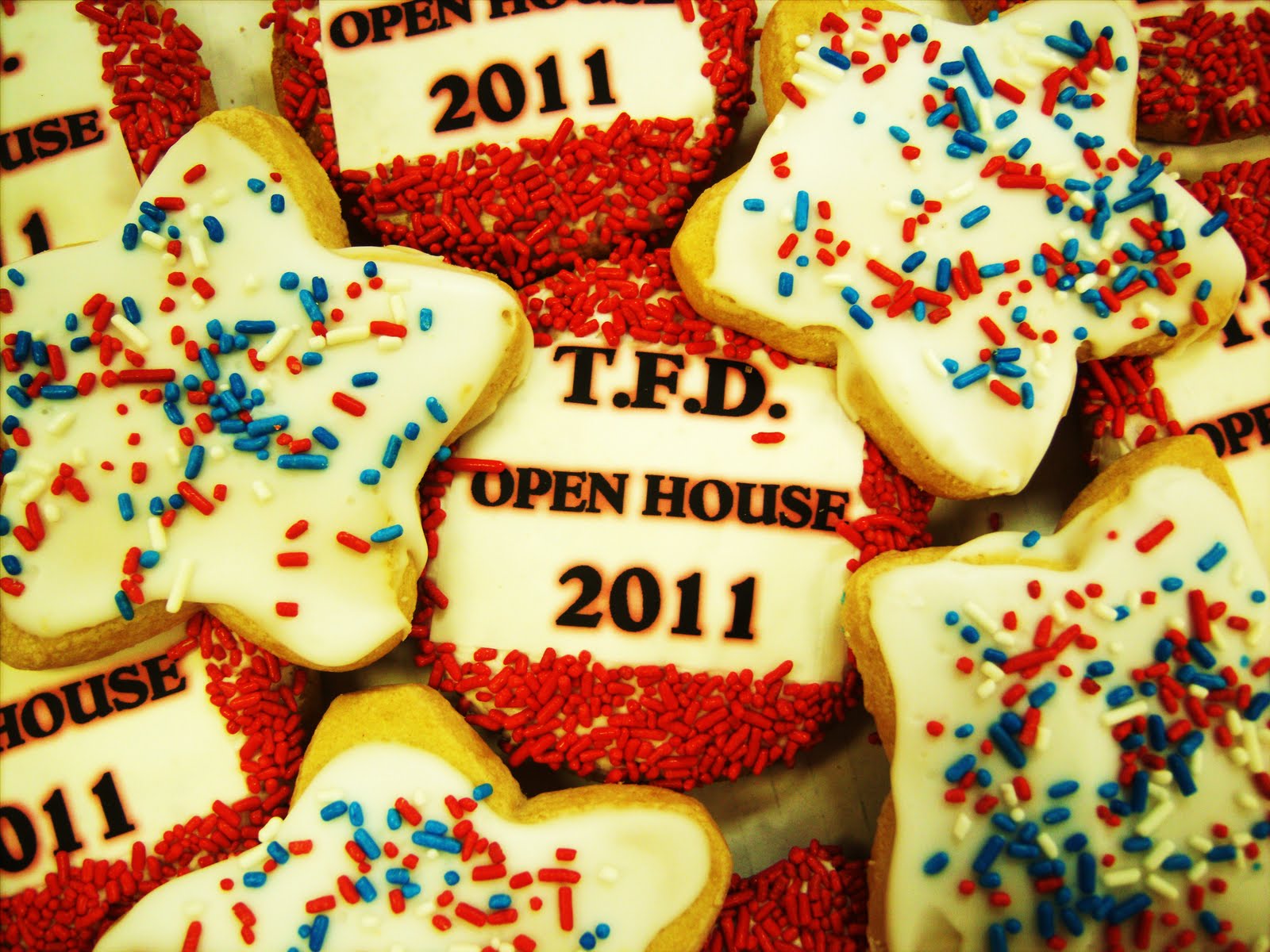 Suzy Homefaker: THERESA FIRE DEPARTMENT OPEN HOUSE COOKIES