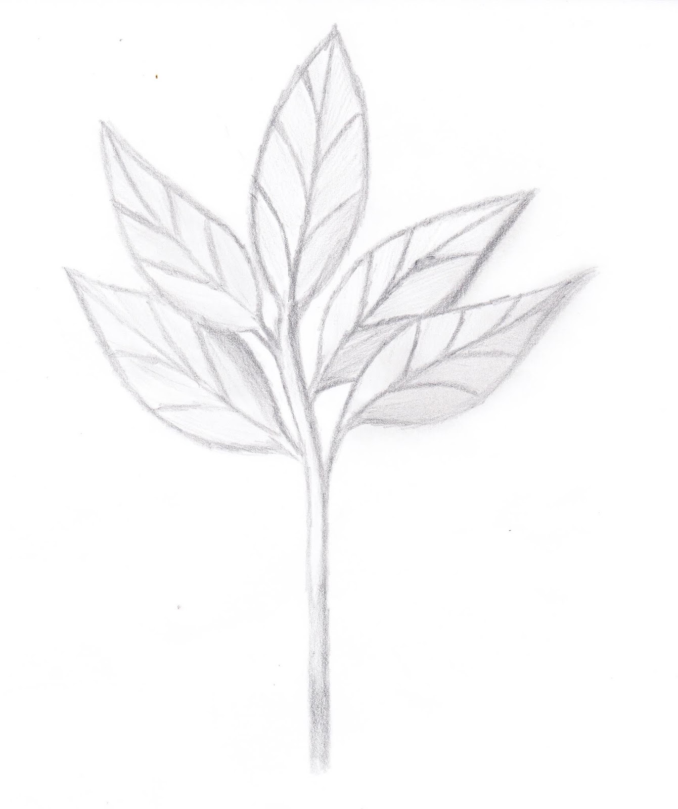 Elena Desing: Dibujo al natural