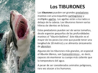 3ro y 4to Colegio Mozart : Partes de un texto expositivo. 3ro y 4to.