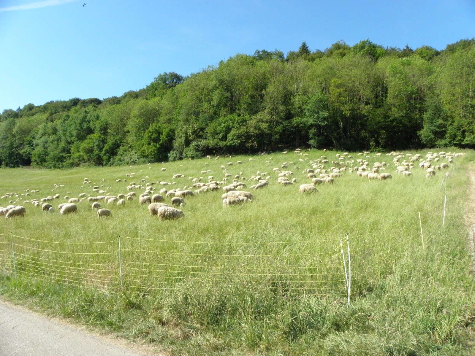 The Travels of Garmisch: Cycling in the Tauber River Valley