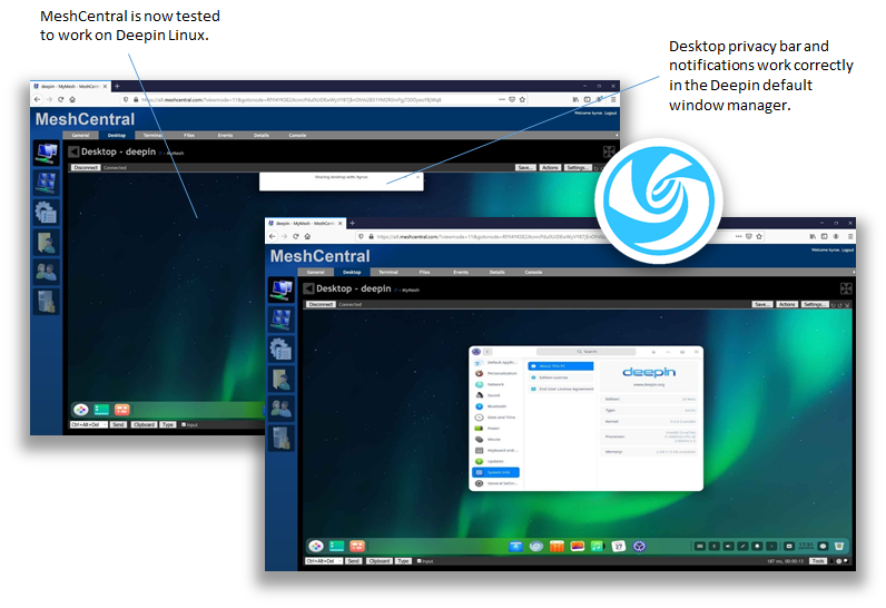 MeshCentral - Recording, Deepin Linux, Device Details