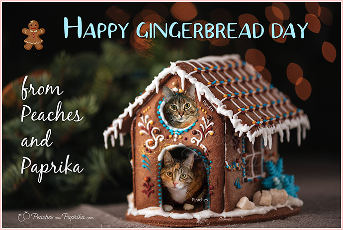 Peaches and Paprika: Happy National Gingerbread House Day