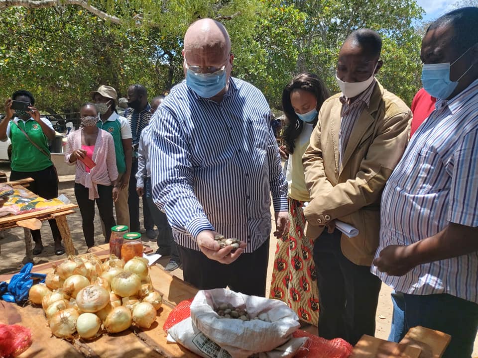 Produza Mabote ganha forma no distrito de Mabote
