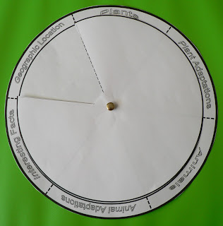 Schooling At Home Happenings: Biome-Ecosystem Wheels