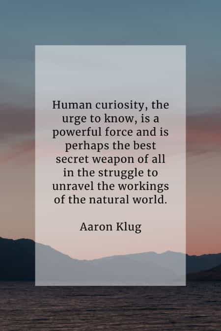 60 Curiosity quotes that'll help you achieve great things