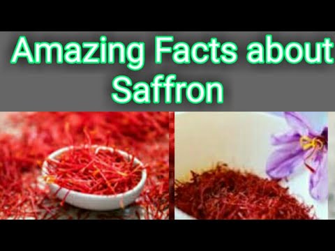 DADAJI Food Products