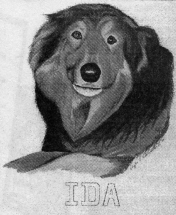 Behind the Lines: by David Heiller: Old Ida will live on ~ March 30, 2000