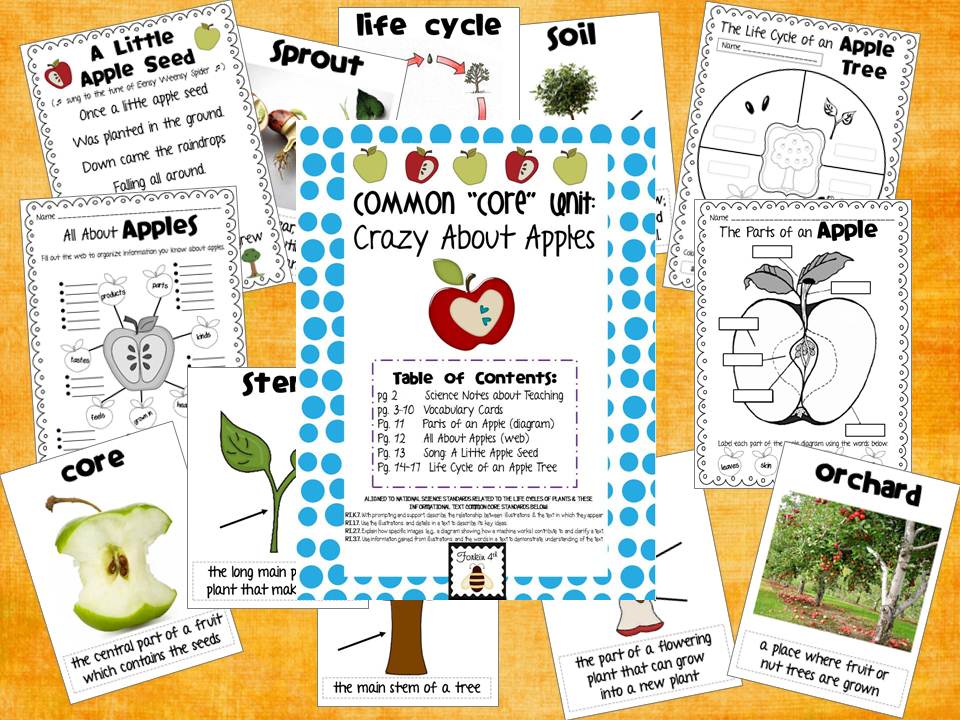 forkin4th: {FREEBIE} Parts of an Apple