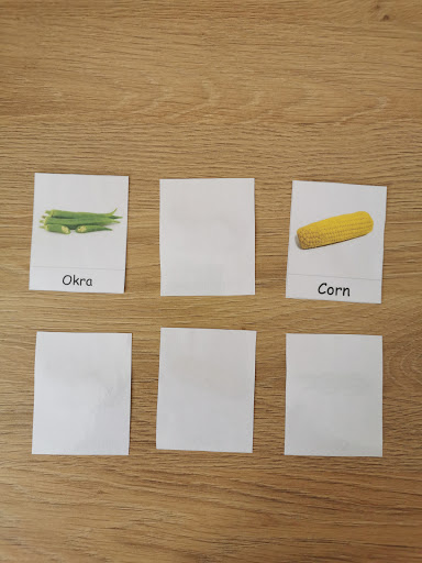 How to use the Montessori 3-Part Cards