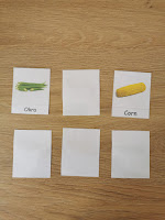 How to use the Montessori 3-Part Cards