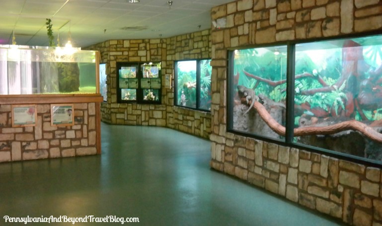 Pennsylvania & Beyond Travel Blog: Visiting the Cape May County Park ...