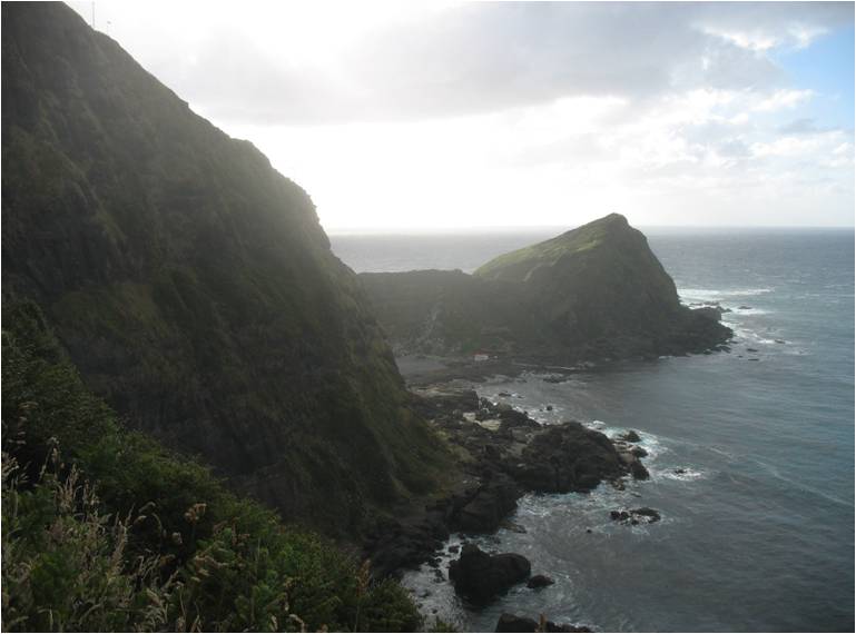 Laboratorio de Aves y Mamíferos - LECMAA: Proyecto Isla Guafo