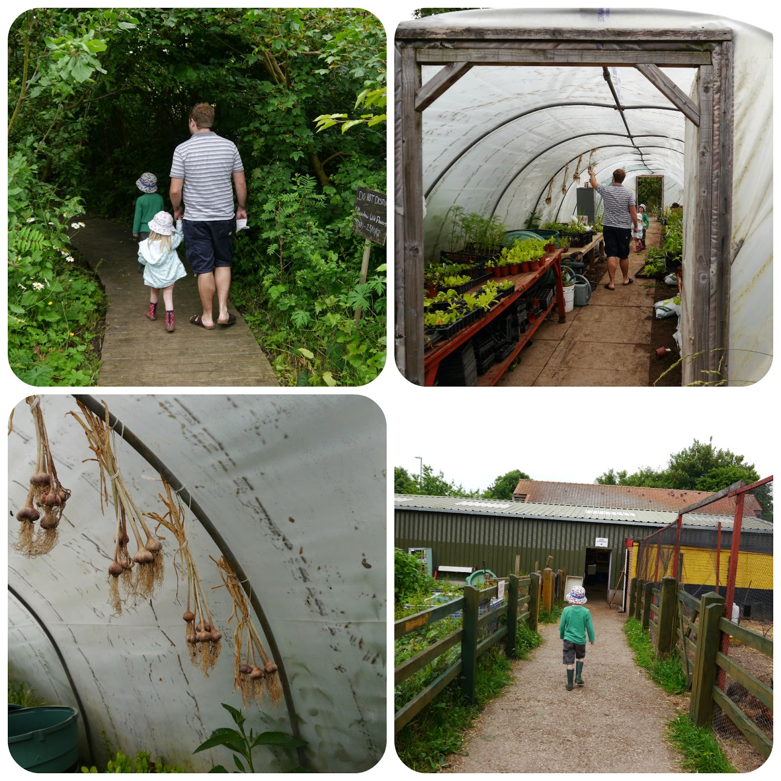 The Mummy Diary: Stonebridge City Farm